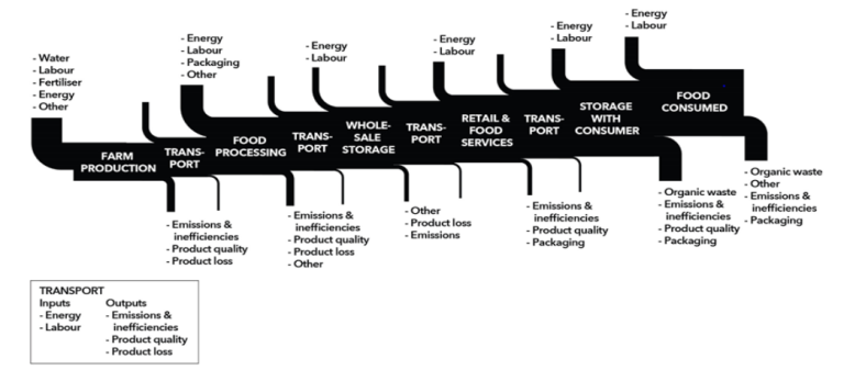 Investigating transformative energy productivity improvement in the ...